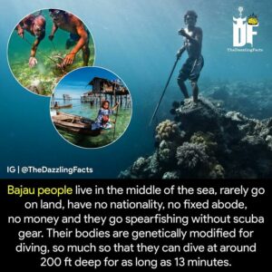 20 Curious Facts From Around The World Shared On This IG Page | DeMilked