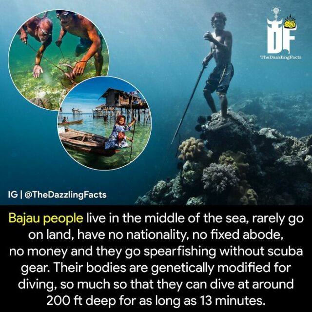 20 Curious Facts From Around The World Shared On This IG Page | DeMilked