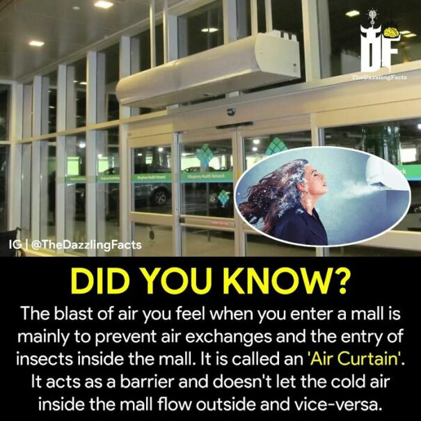 20 Curious Facts From Around The World Shared On This IG Page | DeMilked