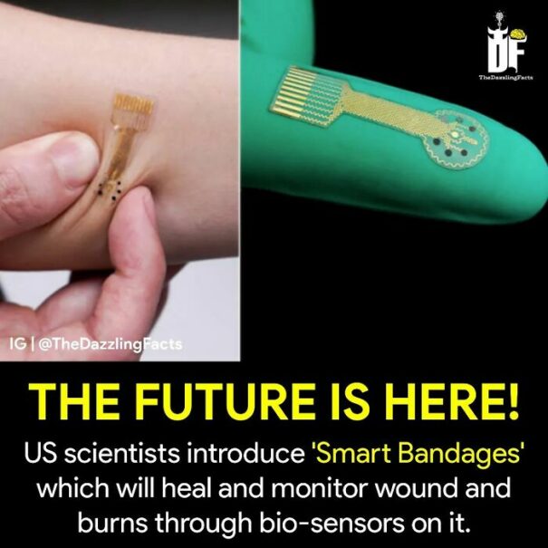 20 Curious Facts From Around The World Shared On This IG Page | DeMilked