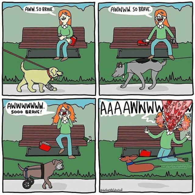 30 Funny Comics That Dark Humor Lovers Might Enjoy, As Shared By ...