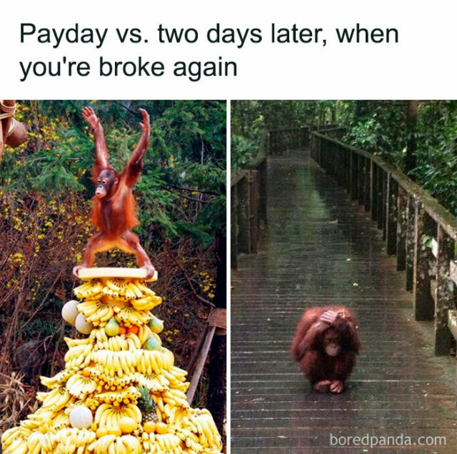 30 Memes That Are Painfully Relatable If You Have Less Money Than You ...