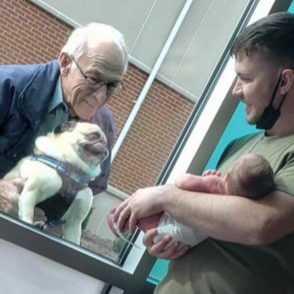 30 Random Moments Captured When Animals Were Found At Unexpected Places ...