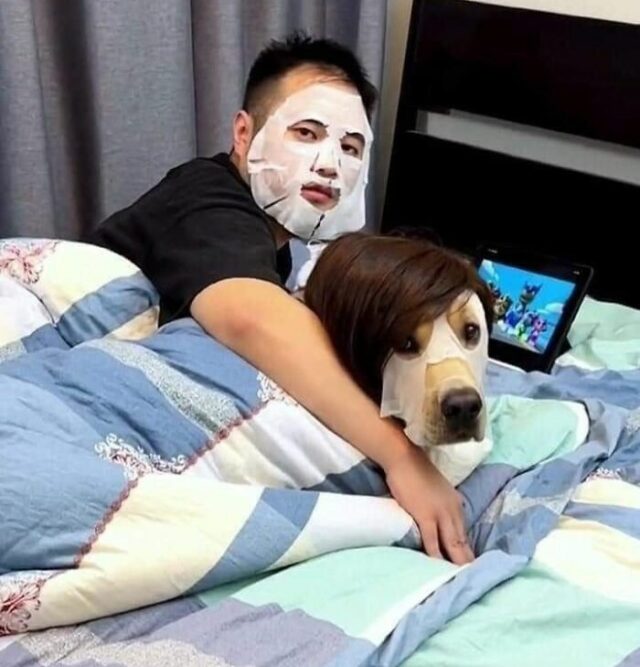 30 Random Moments Captured When Animals Were Found At Unexpected Places | DeMilked