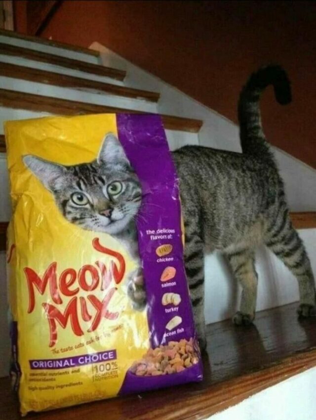 30 Photos With No Explanation Provided To Make You Go ‘Hmmm’ | DeMilked