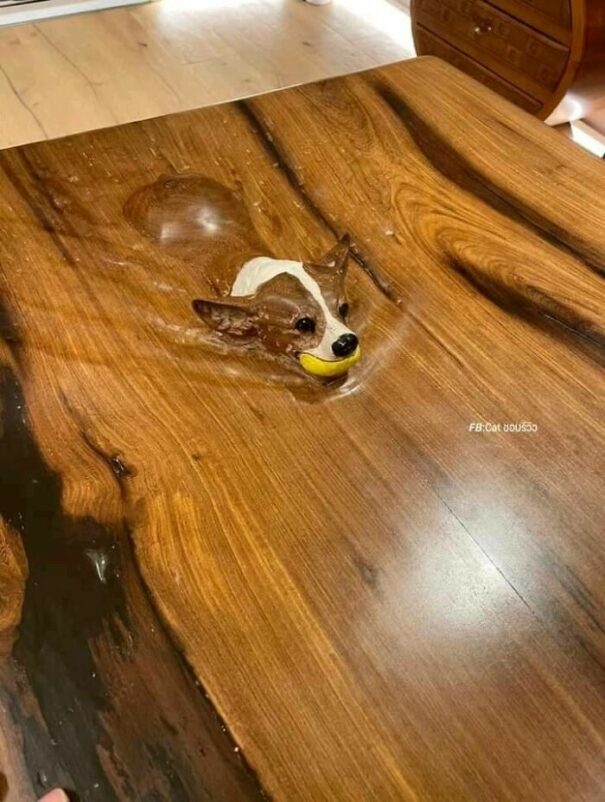 30 Photos With No Explanation Provided To Make You Go ‘Hmmm’ | DeMilked