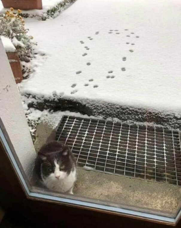 30 Photos With No Explanation Provided To Make You Go ‘Hmmm’ | DeMilked