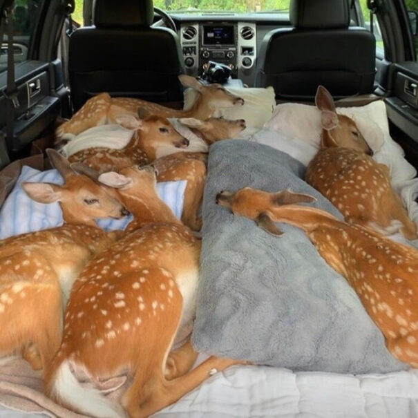 30 Photos With No Explanation Provided To Make You Go ‘Hmmm’ | DeMilked
