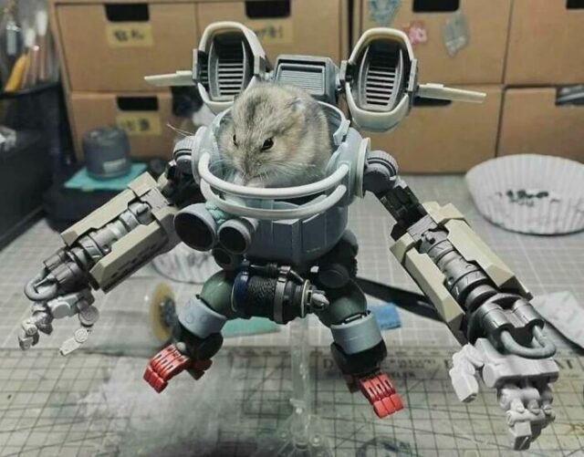 30 Photos With No Explanation Provided To Make You Go ‘Hmmm’ | DeMilked