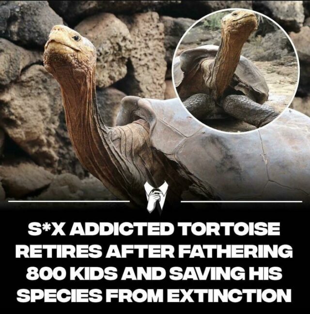 30 New Pics Of Mind-Blowing "Absolute Units" Spotted By People In This ...