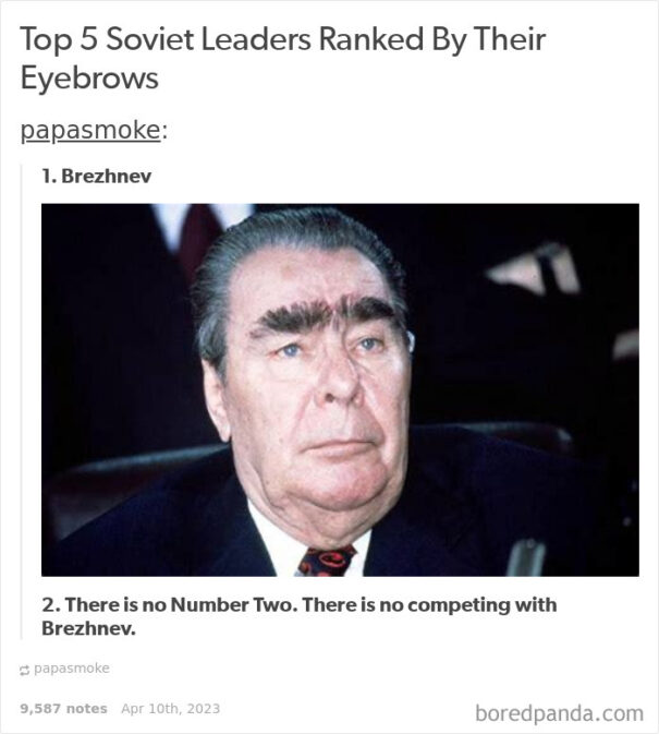 30 New Pics Of Mind-Blowing "Absolute Units" Spotted By People In This ...