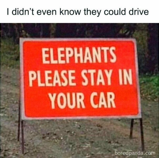 30 “Low Quality” Pics That Tell An Intriguing Story Despite Their ...