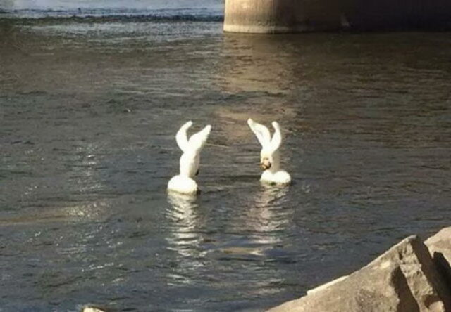30 “Low Quality” Pics That Tell An Intriguing Story Despite Their ...