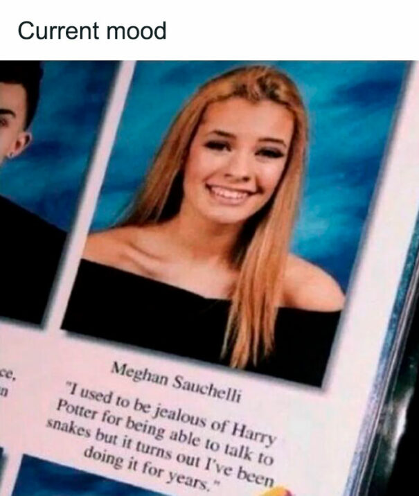 This Instagram Page Shares Spot-On Memes That Capture The Chaos Of ...