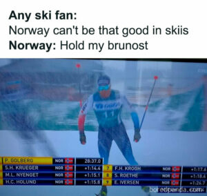 30 Memes And Jokes About Nordic Life That May Make You Wanna Move To Norway Permanently | DeMilked