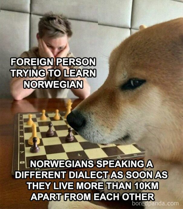 30 Memes And Jokes About Nordic Life That May Make You Wanna Move To Norway Permanently | DeMilked