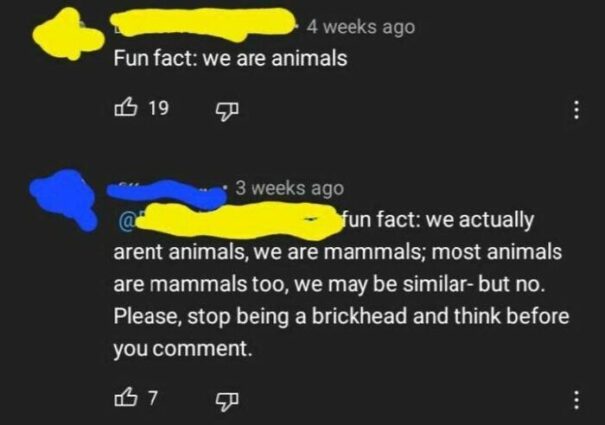 30 Accurate Examples From The FB Group 'People Incorrectly Correcting ...