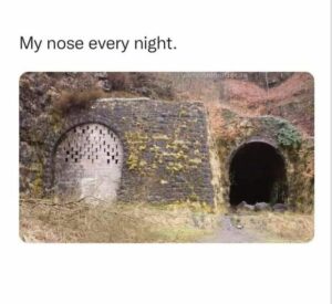 20 Funny Memes That Almost Seem A Little Personal | DeMilked