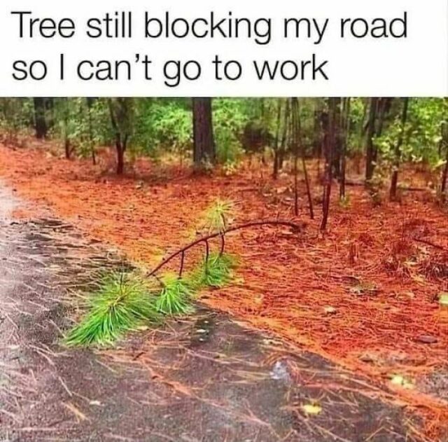 20 Funny Memes That Almost Seem A Little Personal | DeMilked