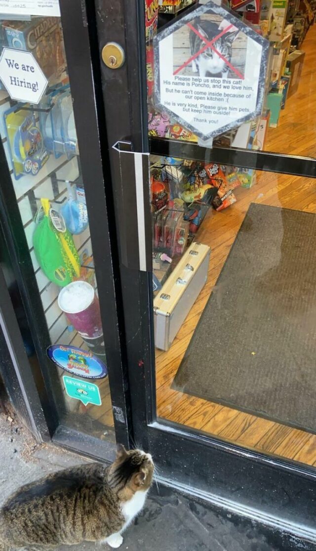 30 Popular Pics From The “Blursed Images” Thread That Are Both Blessed ...