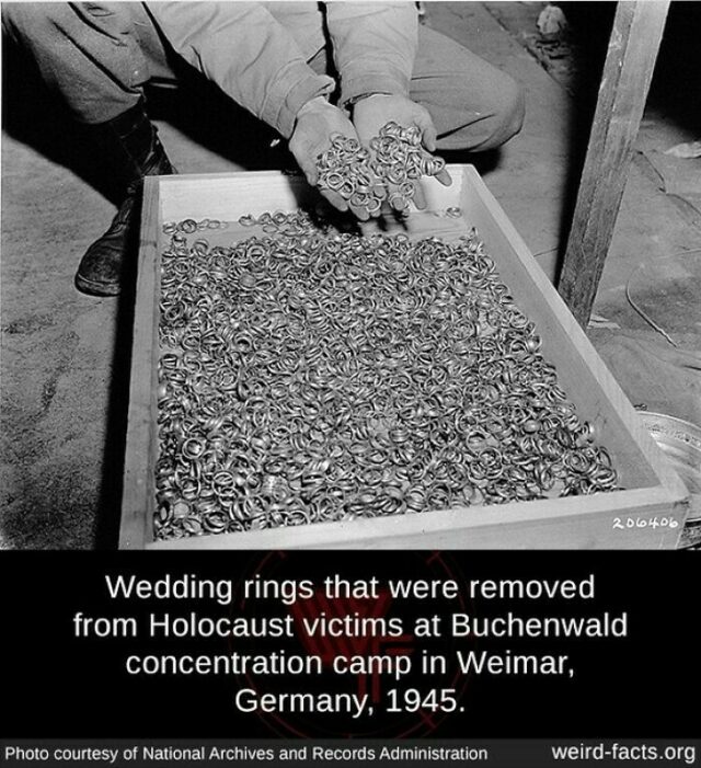 30 Of The Most Interesting Facts Shared On The ‘‘Weird Facts’ FB Page ...