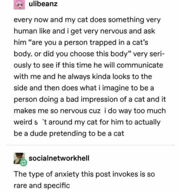 30 Screenshots Of Unusual Tumblr Conversations That Stop And Make You ...