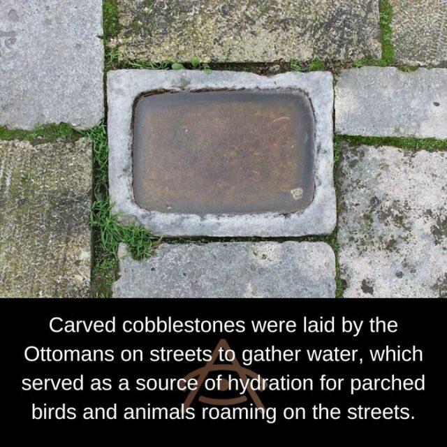 ‘The Ancient Explorers’: 20 Photos That Dig Deep Into Ancient World ...