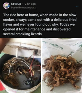 “Cursed Food”: 30 Photos Of The Most Unimaginable Things People Did To ...