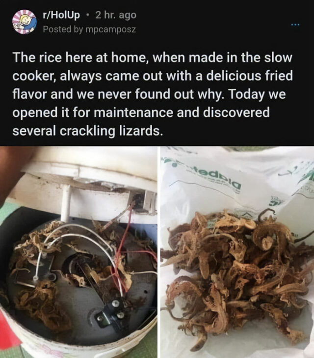 “Cursed Food”: 30 Photos Of The Most Unimaginable Things People Did To ...