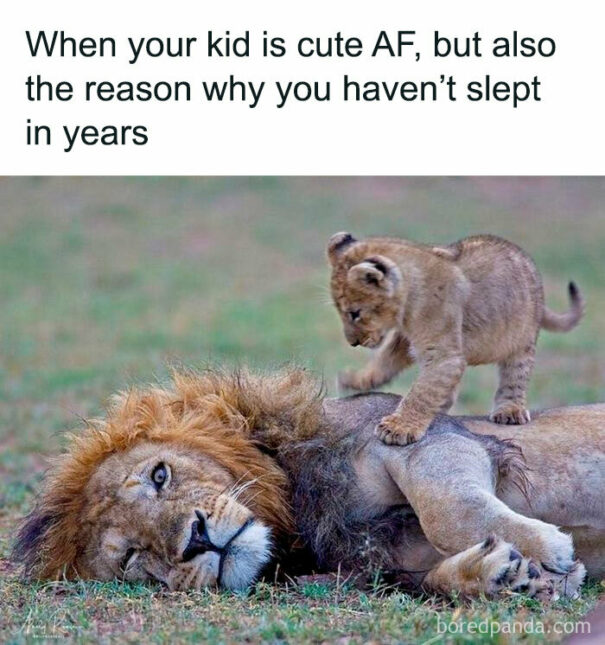 Just Dads Being Dads: 30 Funny Memes From The “Life Of Dad” Page | DeMilked