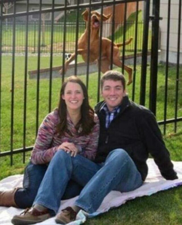 “What’s Wrong With Your Dog?”: 25 Pics Of Dogs Being Silly And Goofy ...