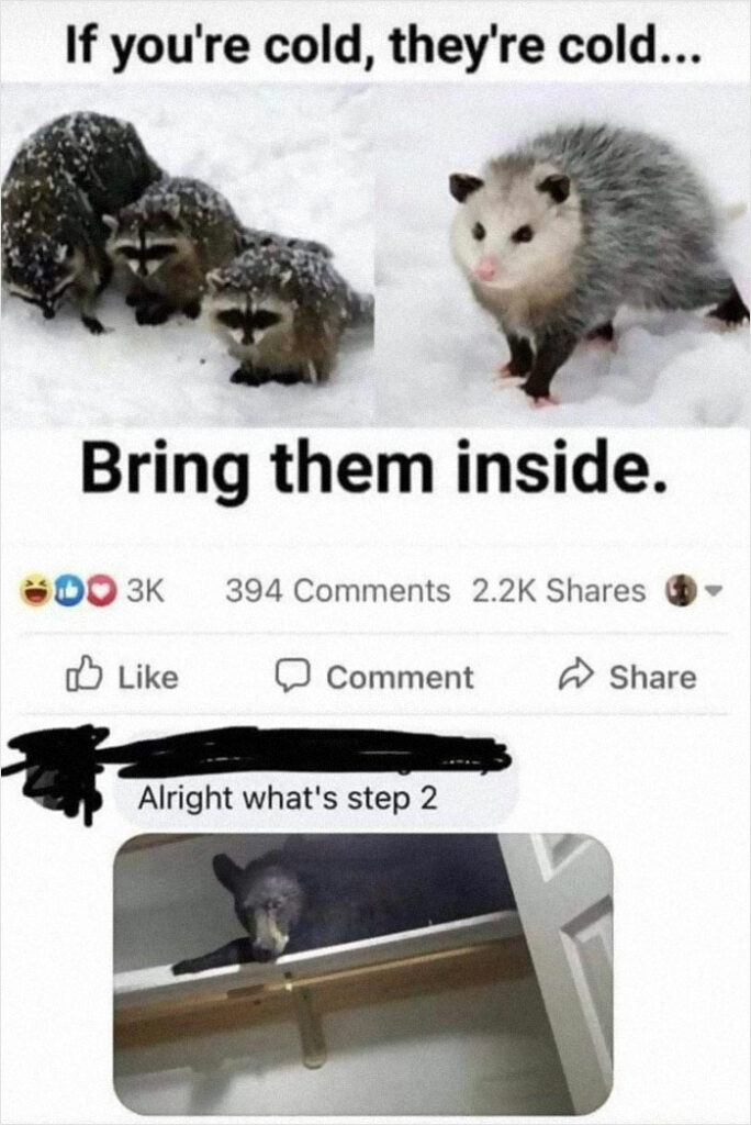 30 Adorable Animal Memes That Might Melt Your Heart And Make You Laugh ...