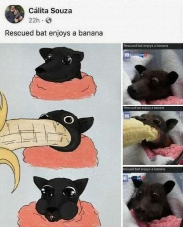 30 Adorable Animal Memes That Might Melt Your Heart And Make You Laugh ...