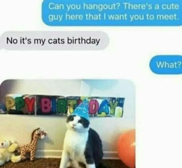 30 Adorable Animal Memes That Might Melt Your Heart And Make You Laugh ...