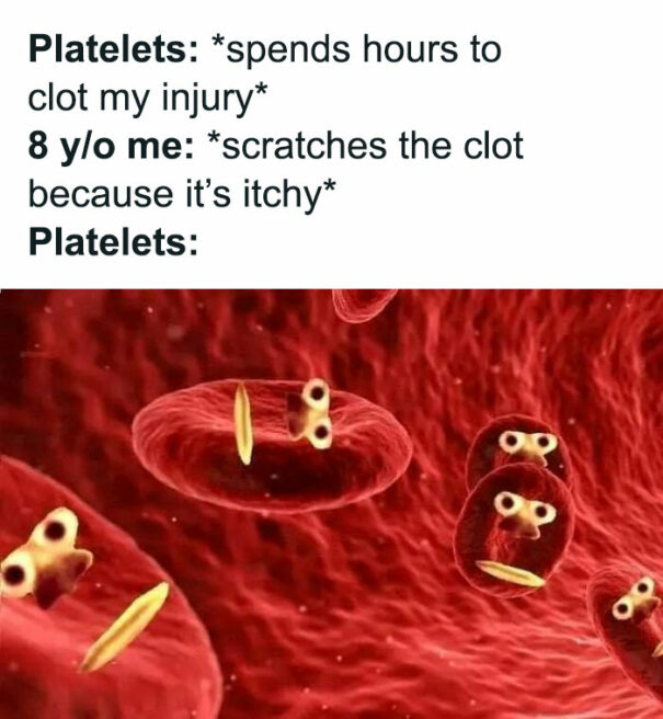 30 Riotously Funny Memes From The “Brainy Memes” Meme Page | DeMilked