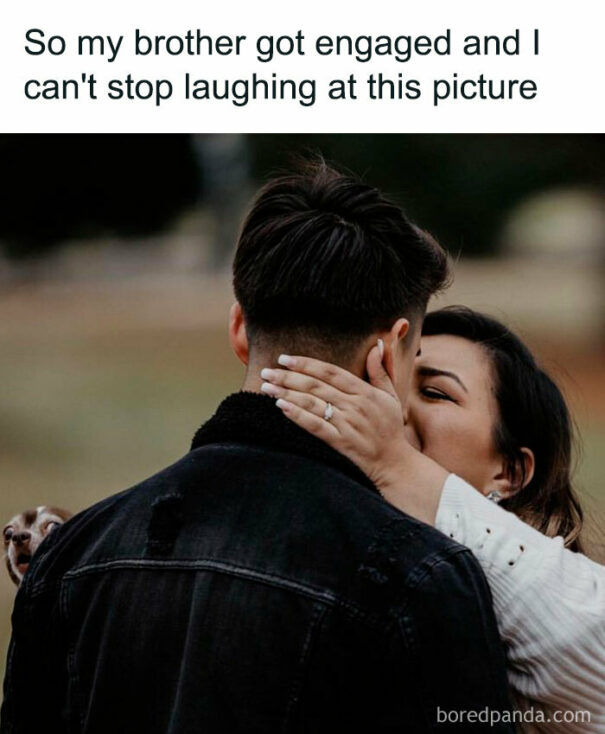 30 Rib-Tickling Memes Every Dog Lover Would Love, As Shared On This ...