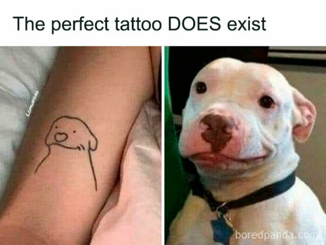 30 Rib-Tickling Memes Every Dog Lover Would Love, As Shared On This ...