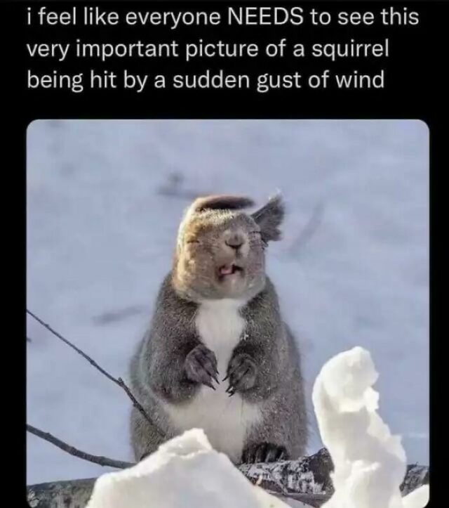 30 Random Posts That Can Serve As The Ultimate Tea Break Companion ...