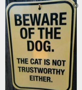 30 Of The Funniest Road And Shop Signs Around The World, As Shared In ...