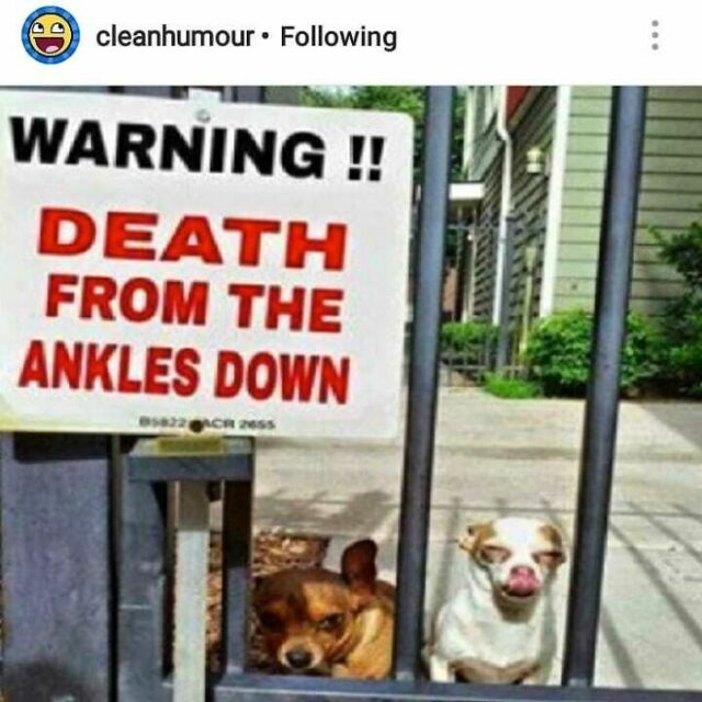 30 Of The Funniest Road And Shop Signs Around The World, As Shared In ...