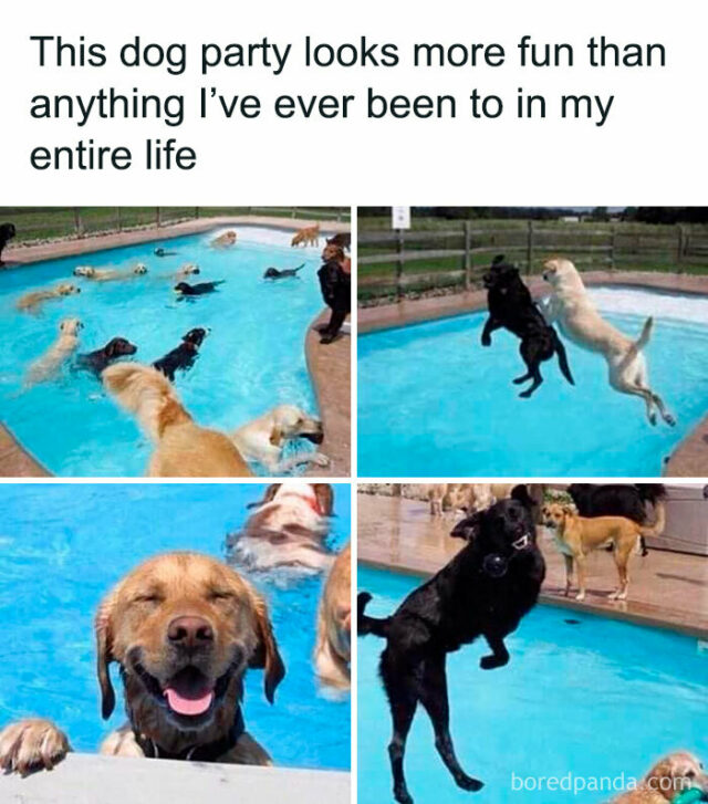 30 Memes That Are Pure Gold If You Are Fluent In Sarcasm | DeMilked