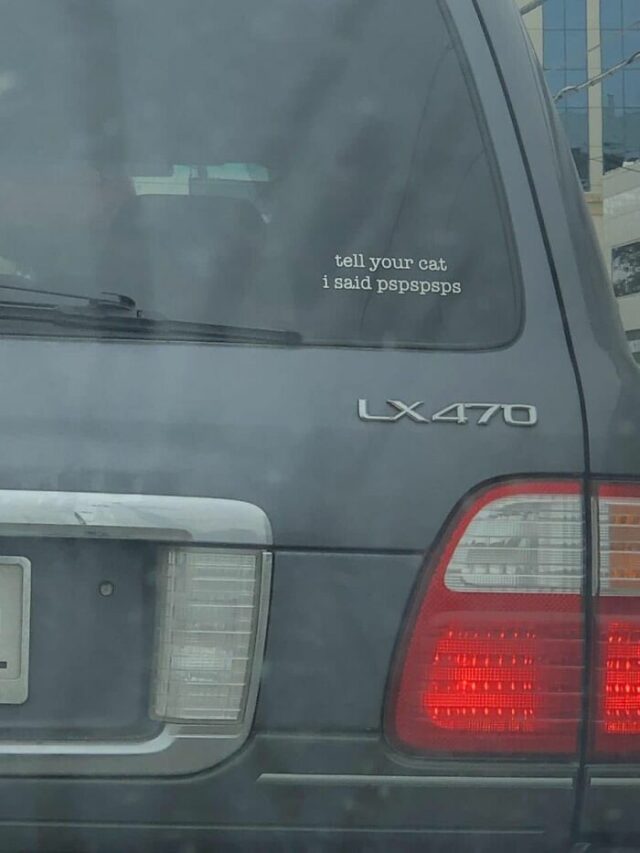 20 Times People Took Creativity To Another Level By Making These Unique ...