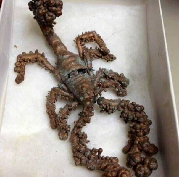 20 Rare Artifacts That Are The Last Standing Of Their Kind, As Shared ...