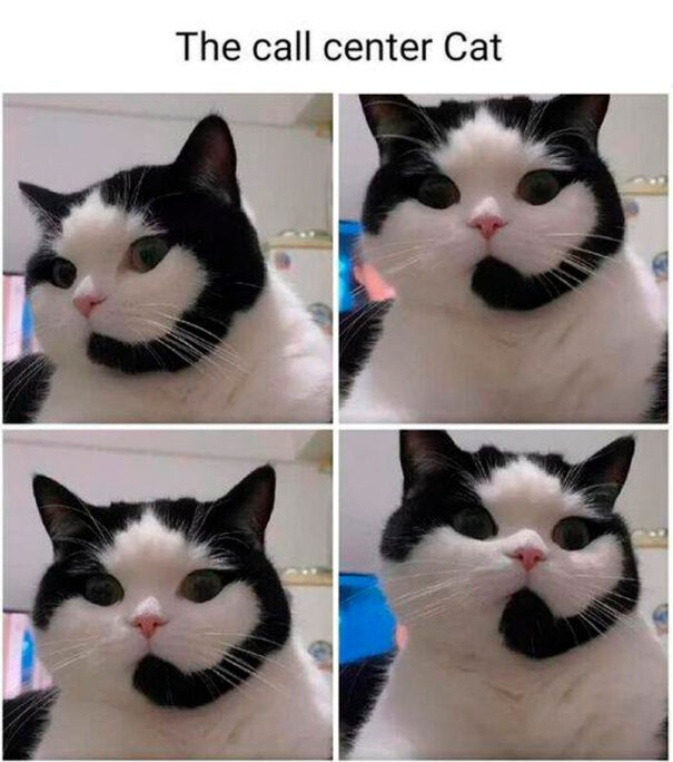 20 Funny Jokes And Memes Anyone Working In “IT Support” Can Relate To ...