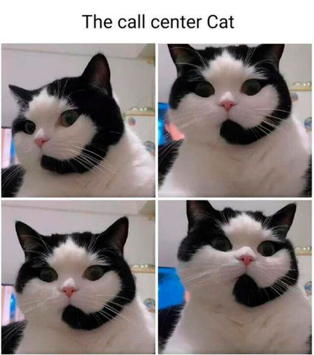 20 Funny Jokes And Memes Anyone Working In “IT Support” Can Relate To ...