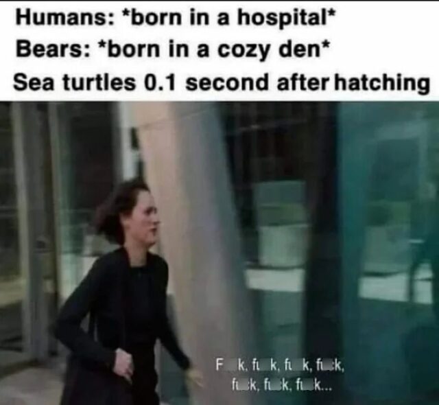 This Meme Page Touches On Anything And Everything (30 Posts) | DeMilked