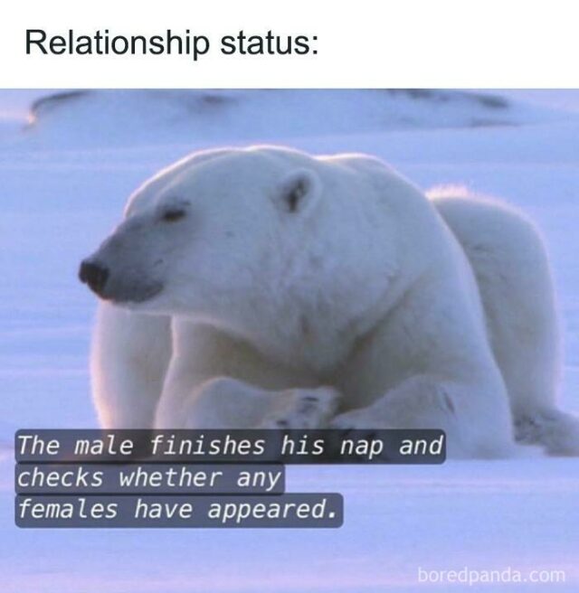 This Meme Page Touches On Anything And Everything (30 Posts) | DeMilked