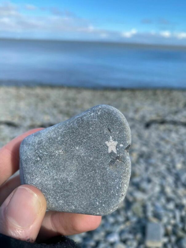 30 ‘Mildly Interesting’ Things People Spotted And Shared In This Online ...