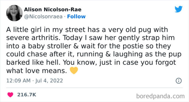 30 Adorable And Cute Memes For People Who Are “Obsessed With Animals ...