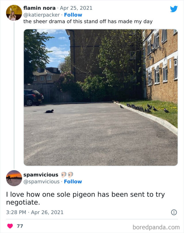 30 Adorable And Cute Memes For People Who Are “Obsessed With Animals ...